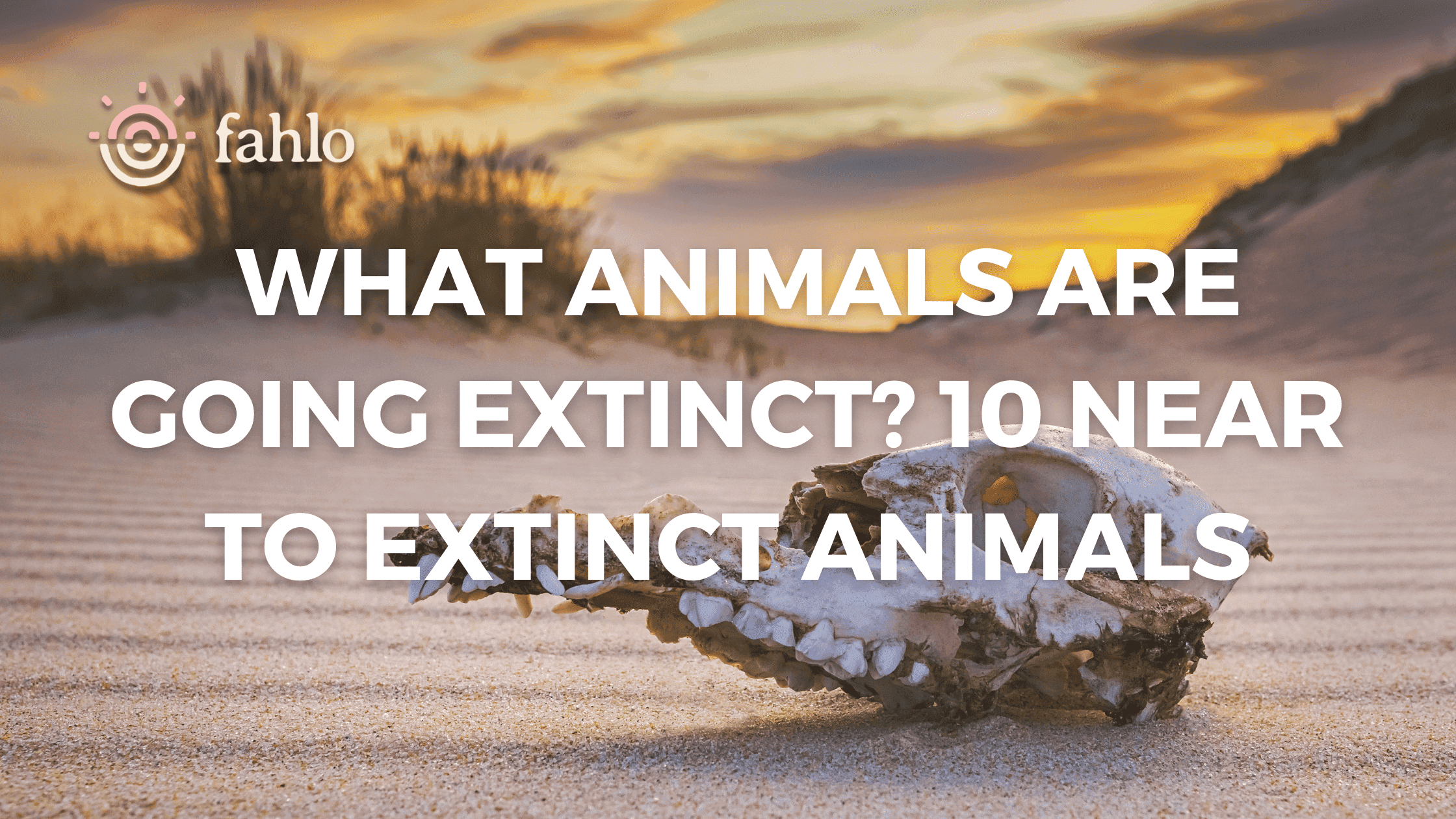 What Animals Are Going Extinct? 10 Near To Extinct Animals | Fahlo