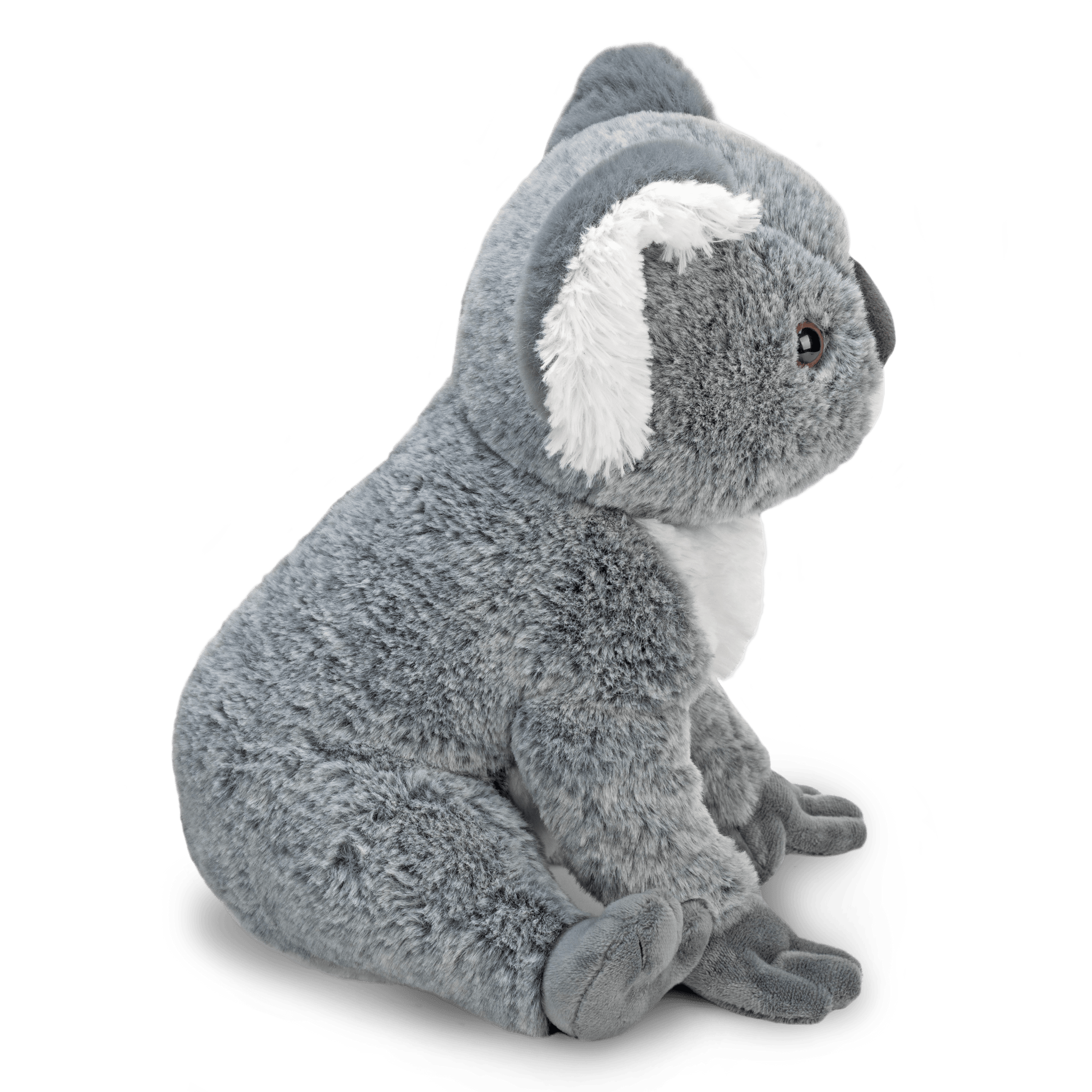 Koala Tracking Plush | Lounge Plush | Fahlo