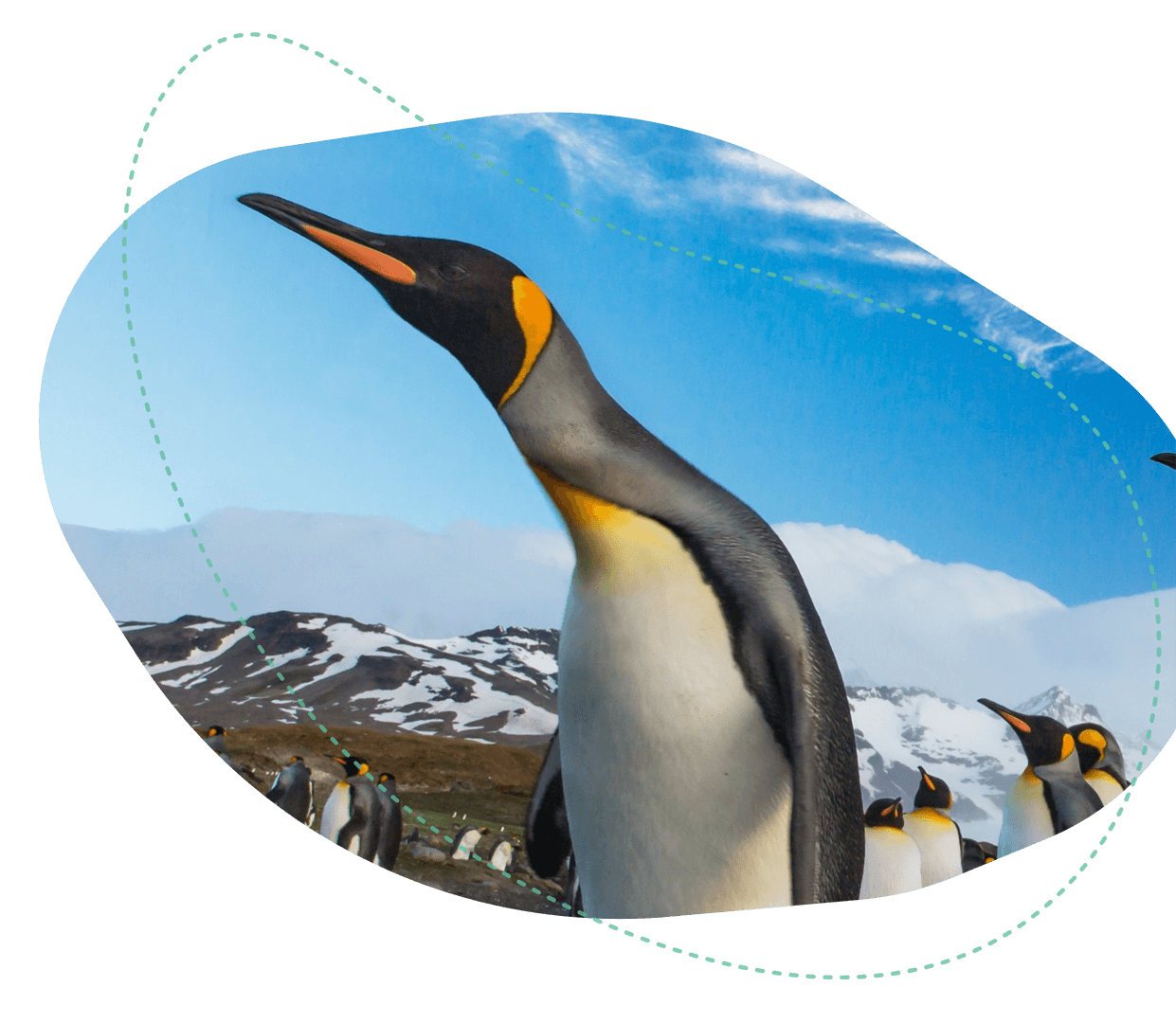 Choose Your Adventure – Fahlo